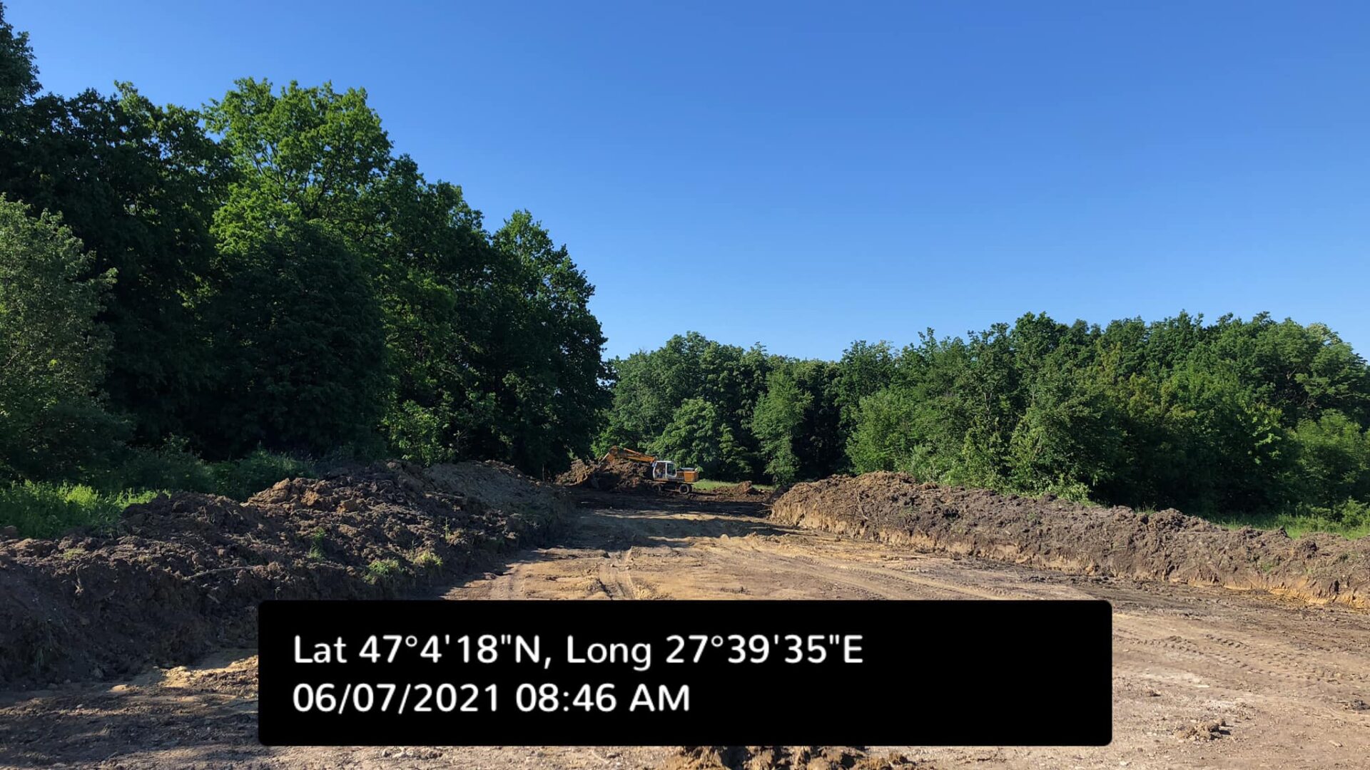 Arii protejate din Pădurea Bârnova-Dobrovăț, distruse cu buldozerele ...