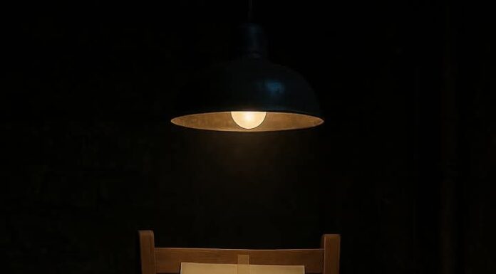 Stiri-Ultima-Ora - 7est.ro - Cotidian de știri, anchete, opinii ...